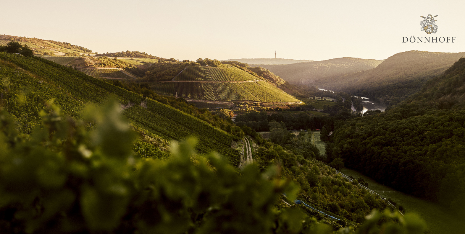 Dönnhoff | Our Wineries | ABS Wine Agencies