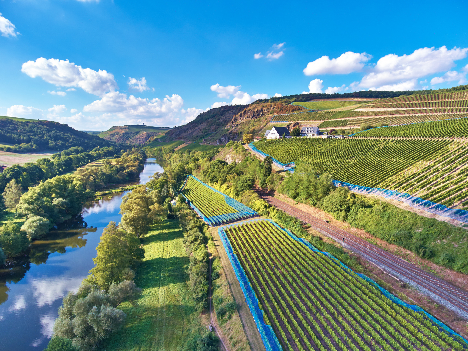 Dönnhoff | Our Wineries | ABS Wine Agencies