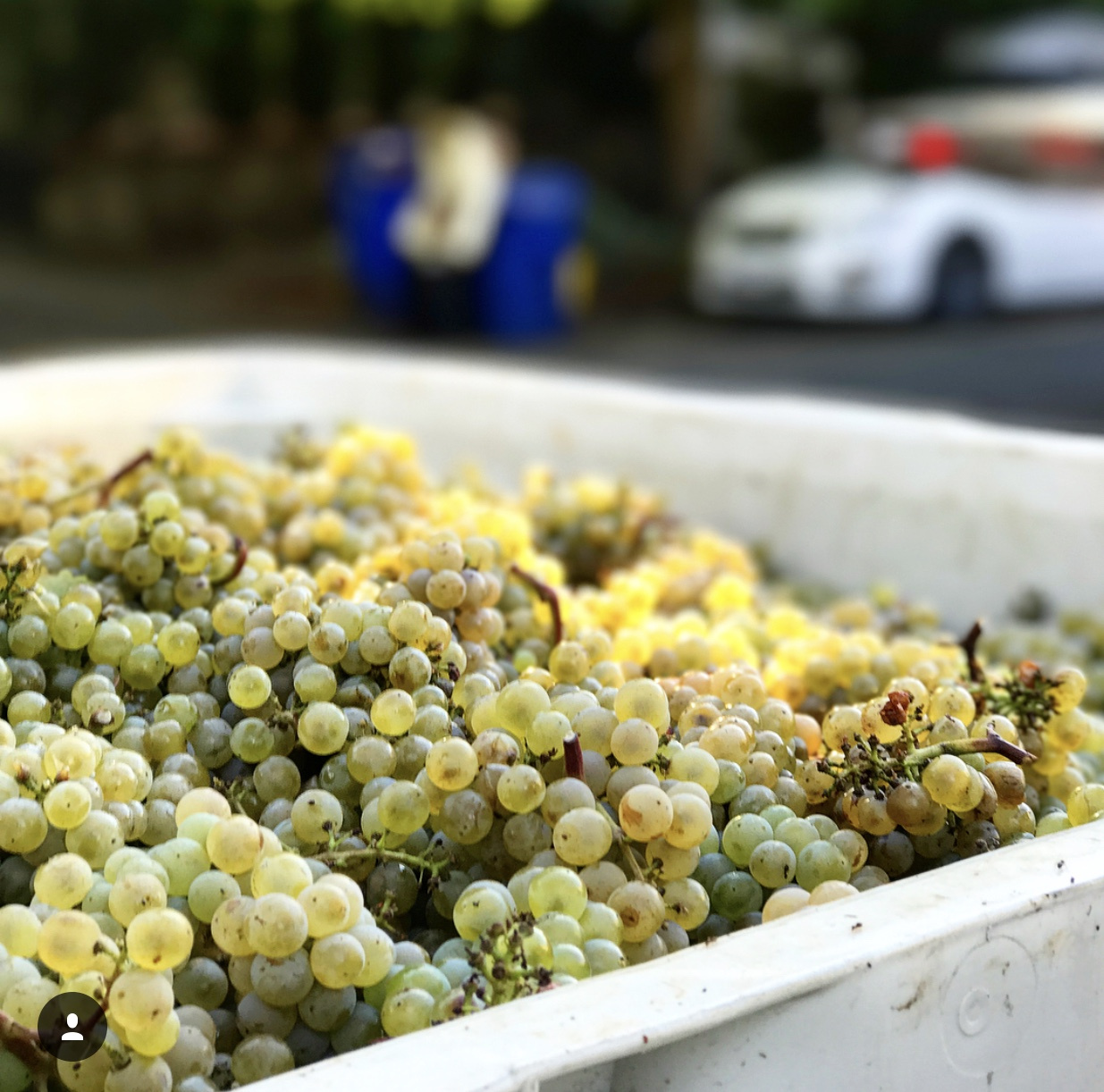 Division Winemaking Co. | Our Wineries | ABS Wine Agencies