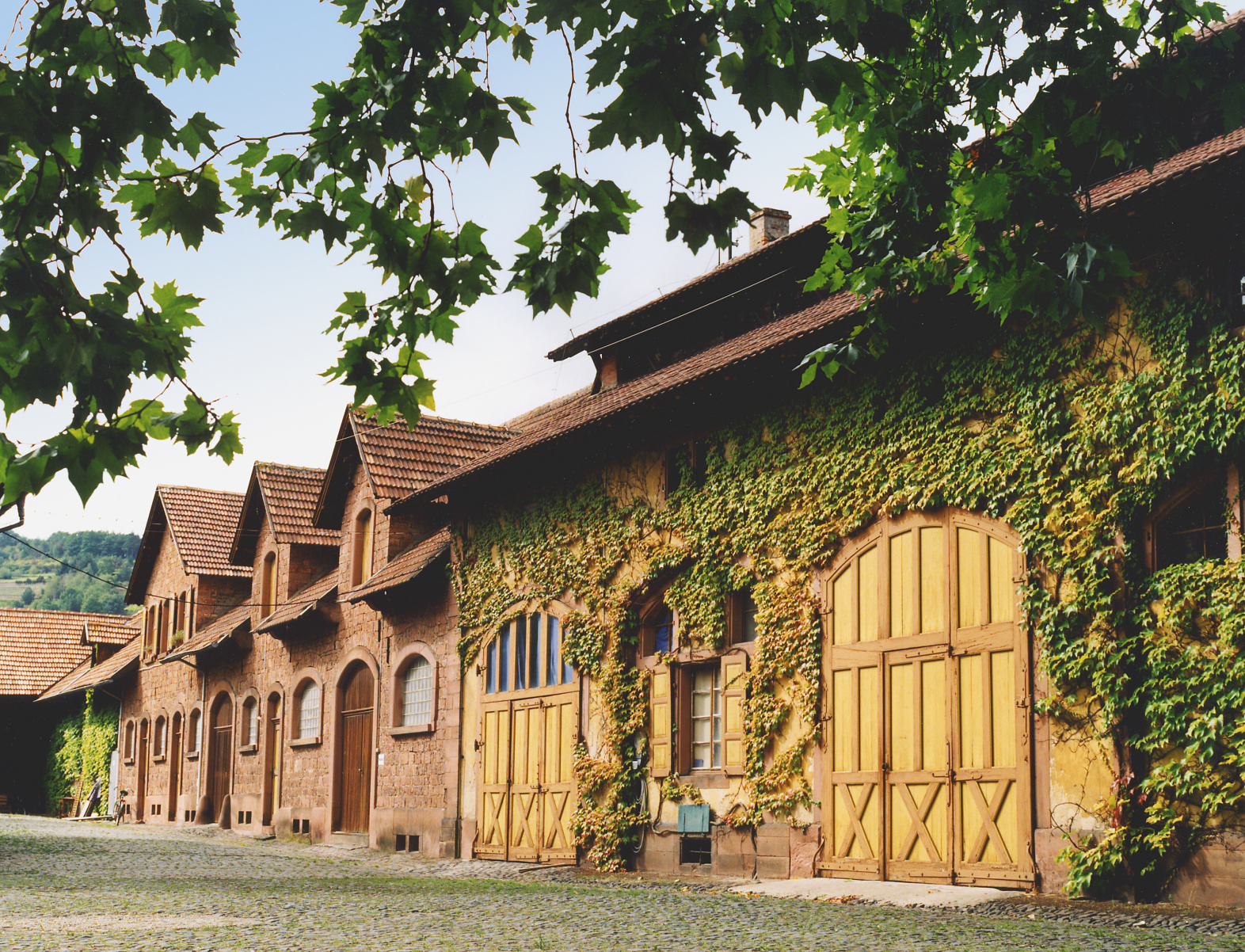 Villa Wolf | Our Wineries | ABS Wine Agencies