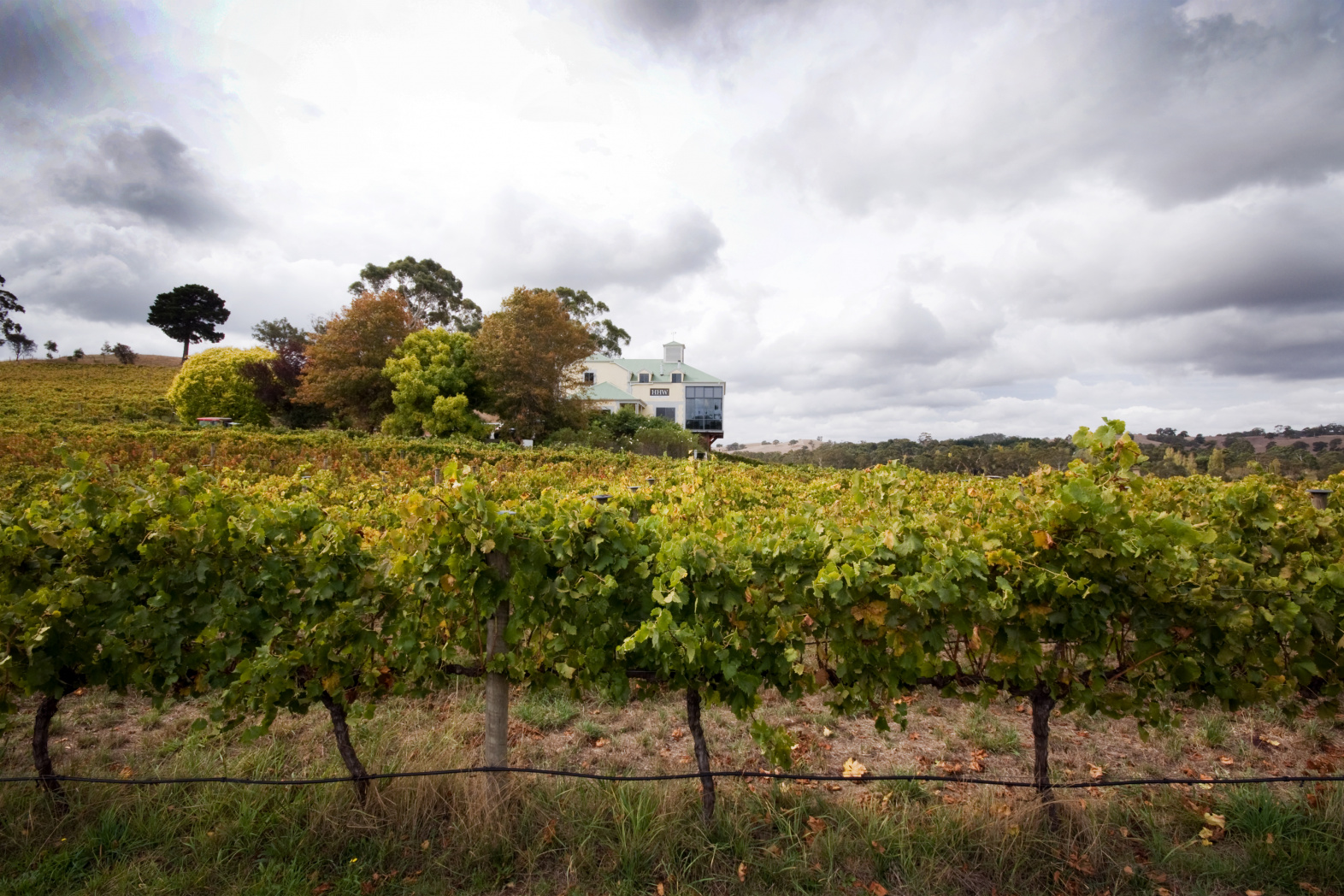 Hahndorf Hill | Our Wineries | ABS Wine Agencies