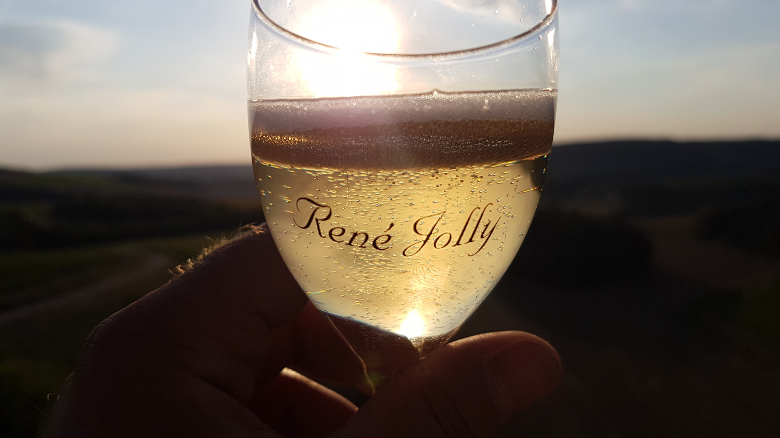 Champagne René Jolly | Our Wineries | ABS Wine Agencies