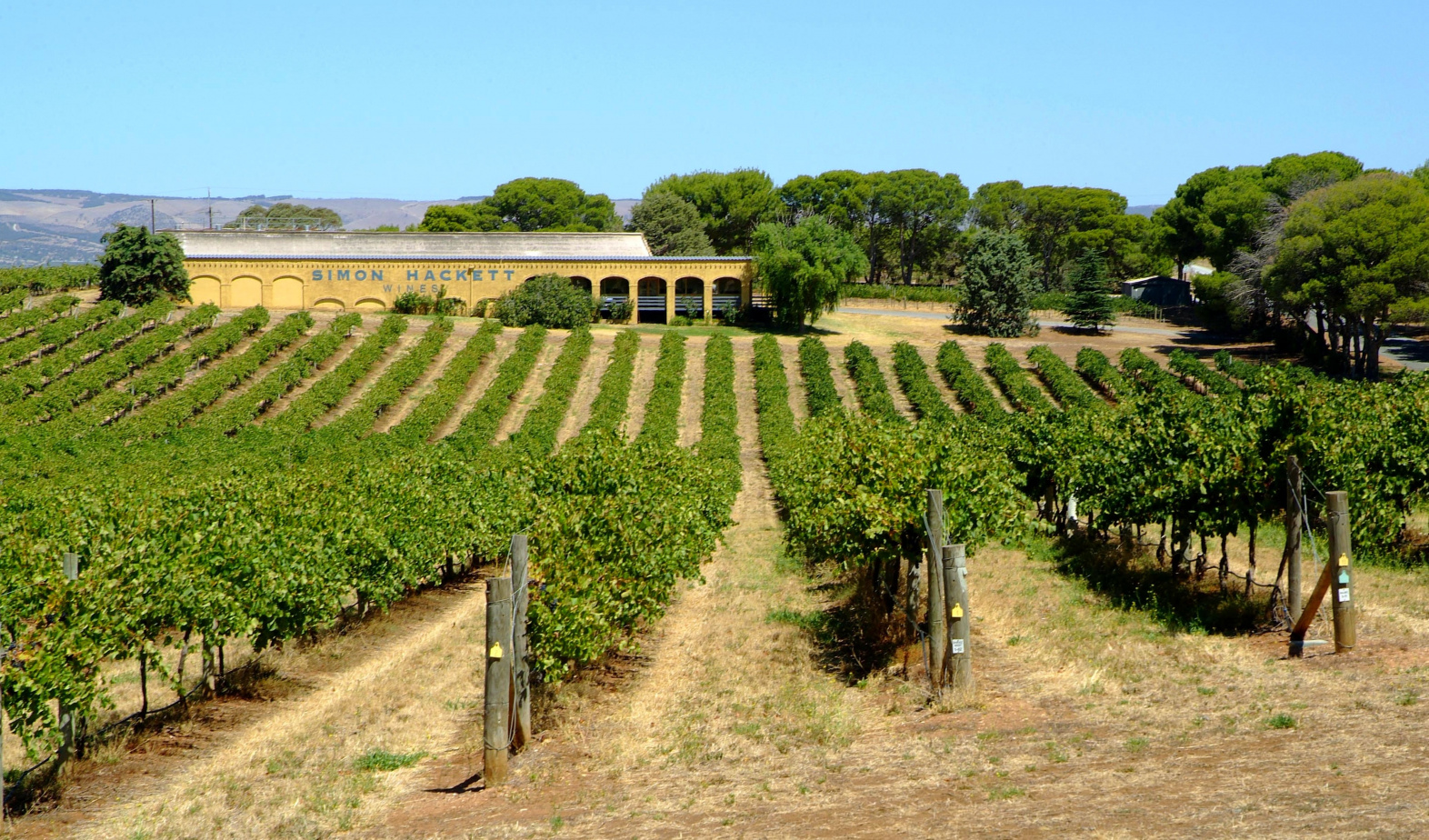 Simon Hackett Wines | Our Wineries | ABS Wine Agencies