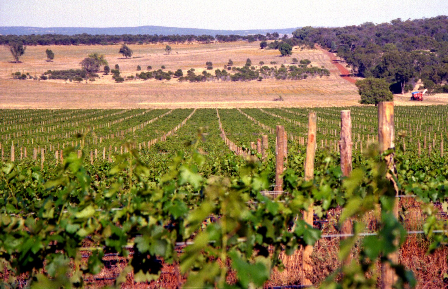 Cranswick Wines | Our Wineries | ABS Wine Agencies